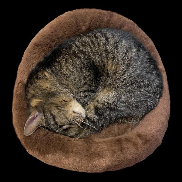 Gallery | Points Of View Artists of Brunswick, Maine